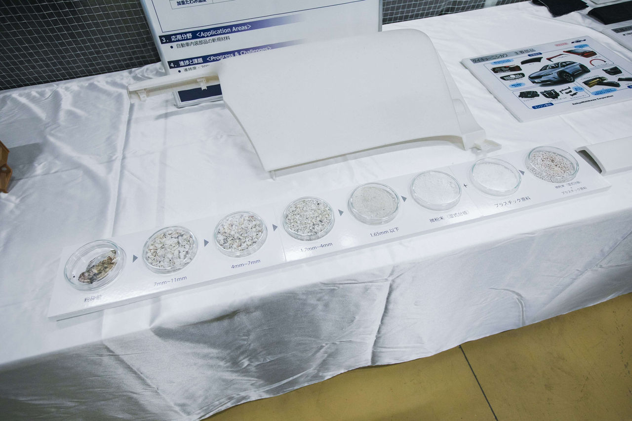 The Design AI Can’t Match: High School Students Explore Oyster Shell ...